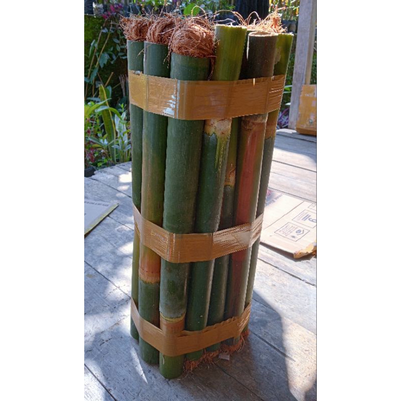 Jual obor bambu Tamiang,lampu api bambu runcing bersejarah siap pakai ...