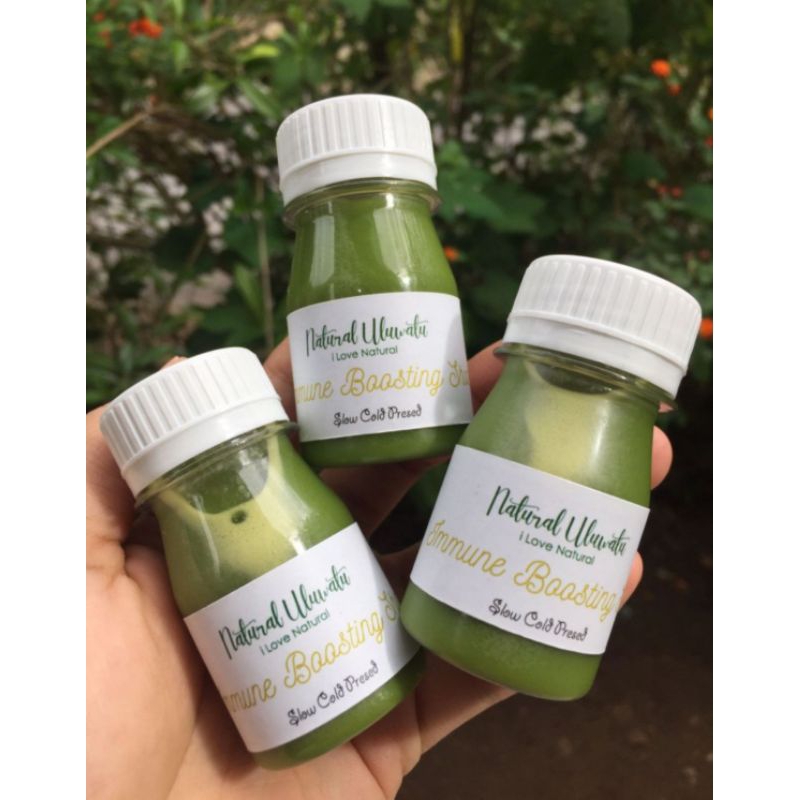 Jual Green Ginger Shoot / Immune Booster Shots | Shopee Indonesia
