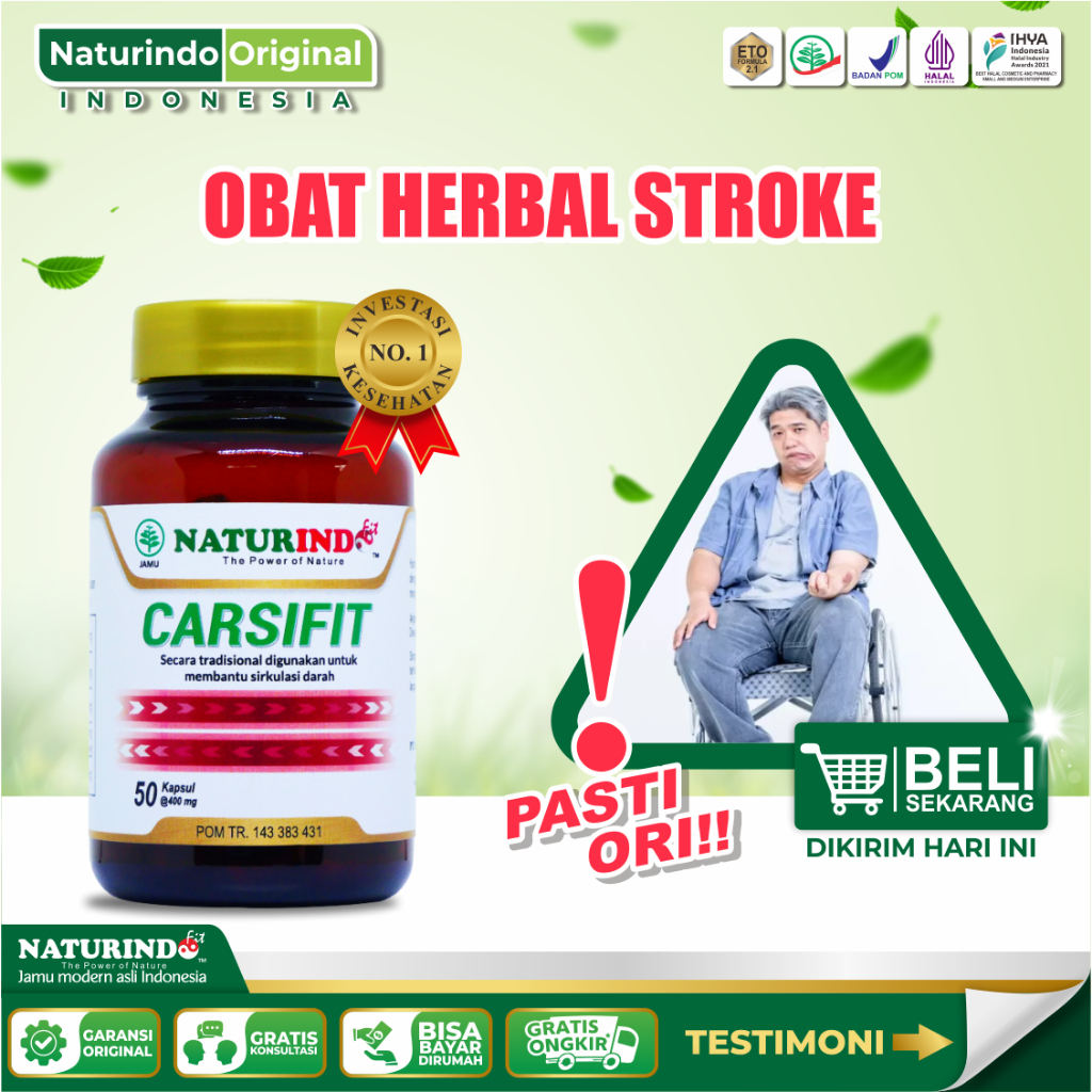 Jual Obat Stroke Herbal Strok Struk Berat Stroke Ringan Lumpuh Sebelah ...