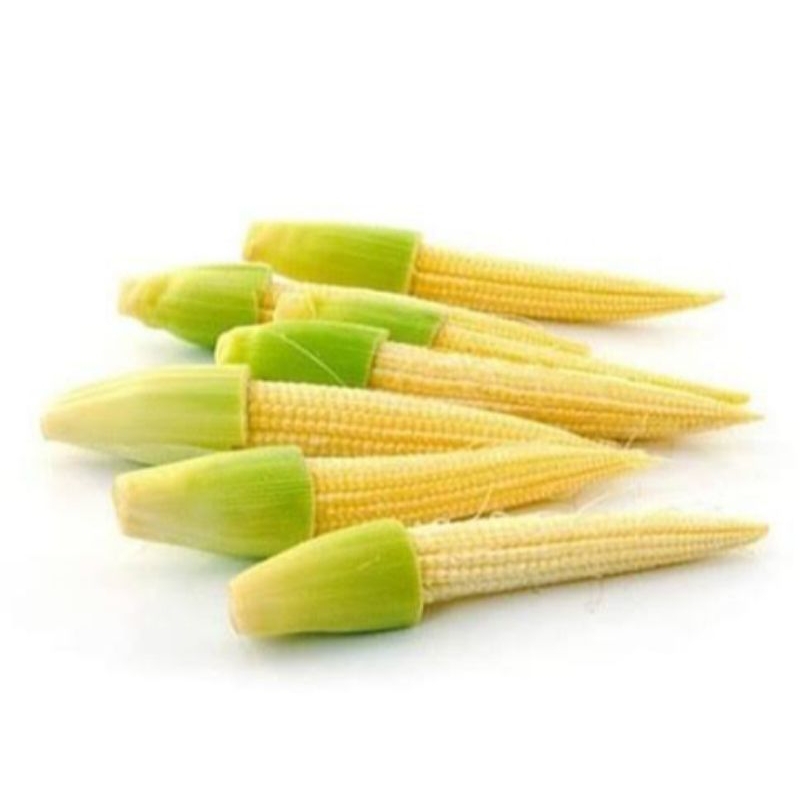 Jual Baby Corn/ Jagung mini 100gr | Shopee Indonesia
