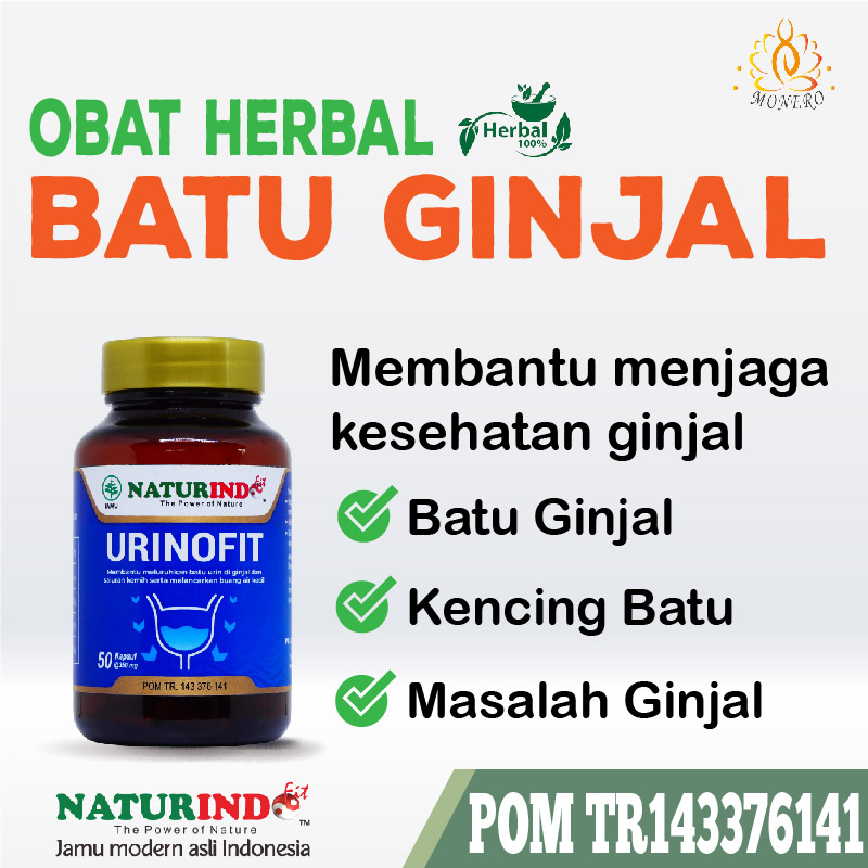 Jual Obat Batu Ginjal Kencing Batu Nyeri Detox Ginjal Urinofit Naturindo | Shopee Indonesia