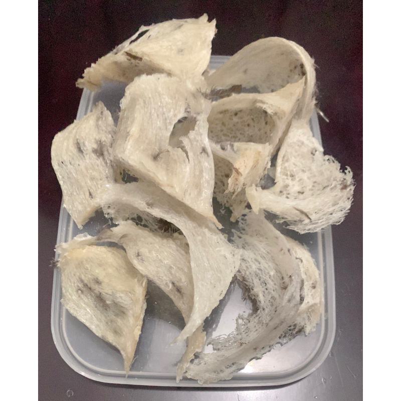 Jual SARANG WALET / BIRDNEST KOTOR SUDUT PATAHAN PERKILO | Shopee Indonesia
