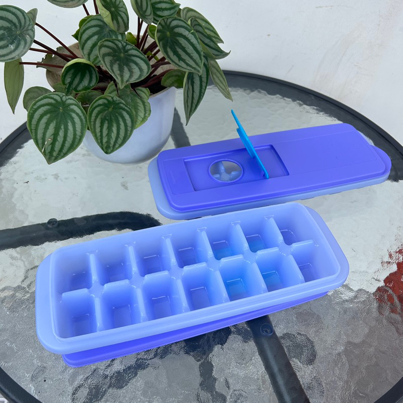 Jual ice tray Tupperware (cetakan es batu) | Shopee Indonesia