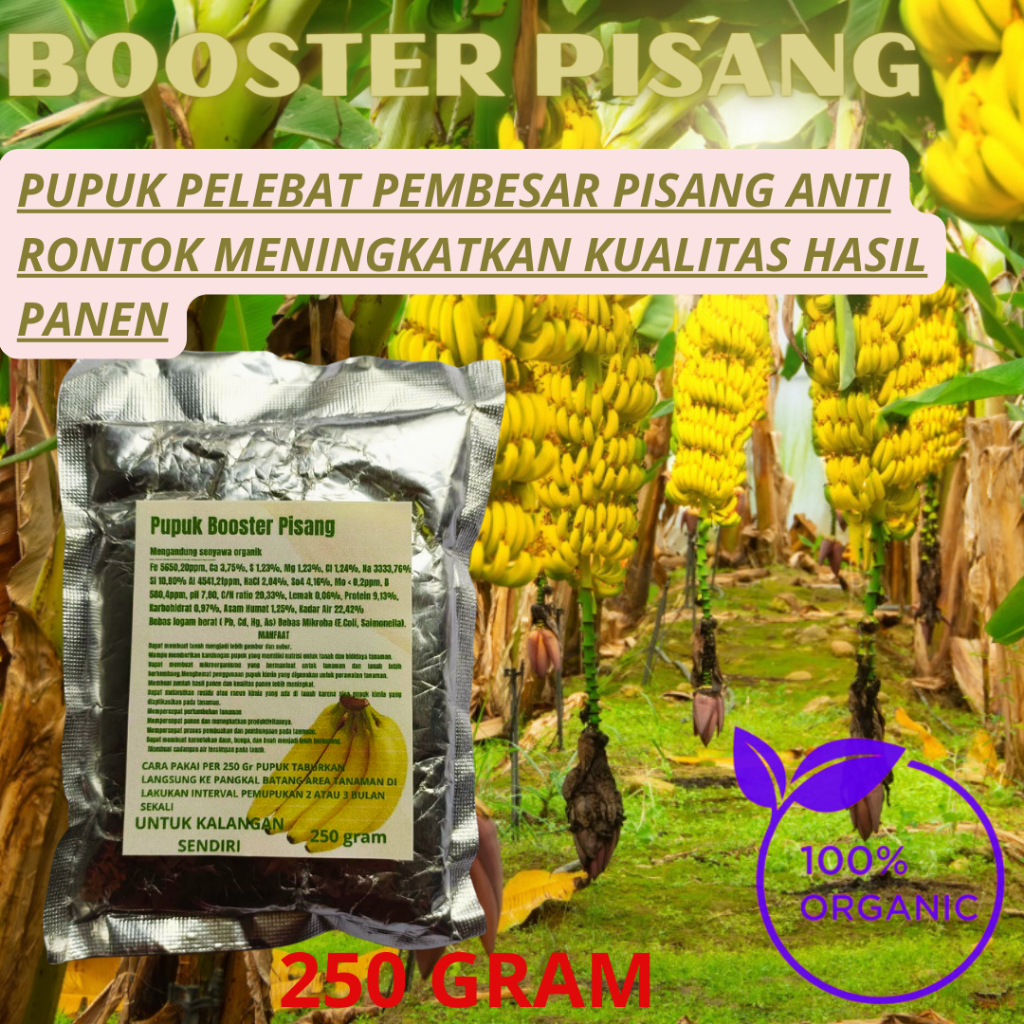 Jual Pupuk Booster Organik Penyubur Pisang/Pupuk Organik Perangsang Pisang Agar Cepat Berbuah ...