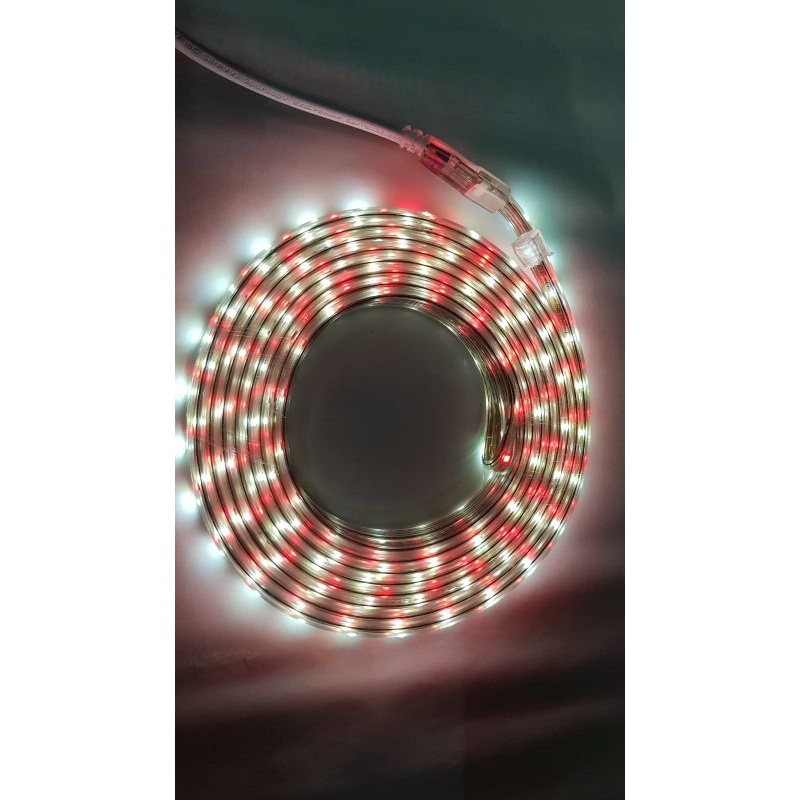 Jual Lampu LED STRIP SELANG / Lampu LED SLANG Merah Putih / Lampu Strip ...