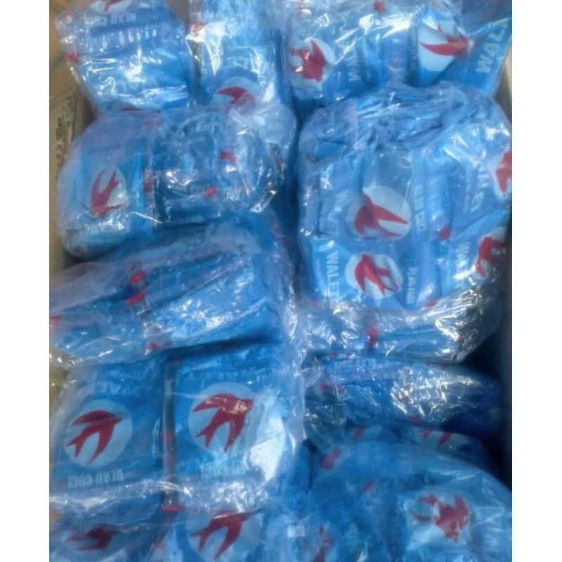 Jual BELAU CUCI/BLAU CUCI | Shopee Indonesia