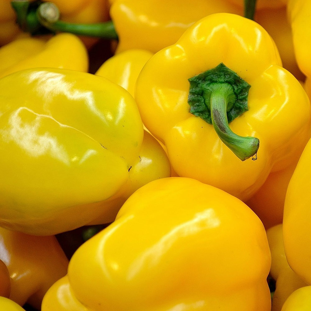 Jual Paprika Kuning | Shopee Indonesia