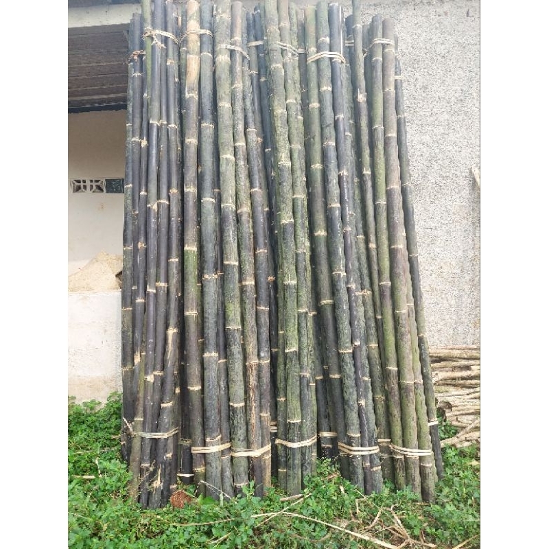 Jual Bambu Hitam 3 Meter Bambu wulung Bulat Tua Asli Bambu Apus Bambu ...