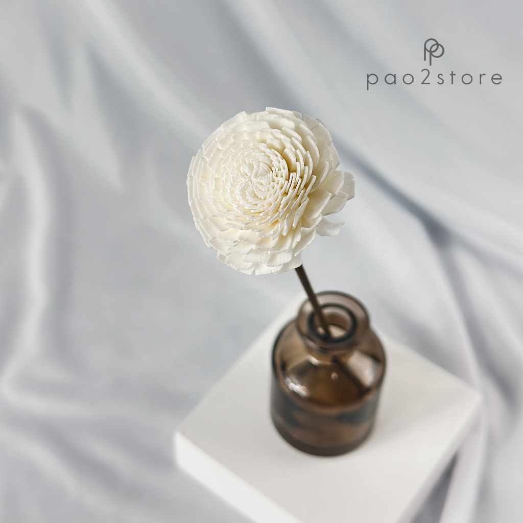 Jual Bunga Reed Diffuser - Sola Flower - Kering / Dried Klobot Wood ...