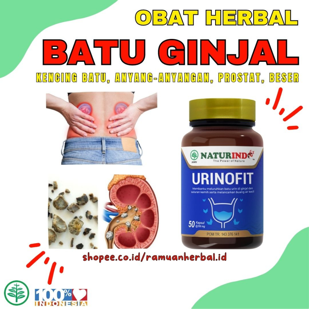 Jual Obat Batu Ginjal Kronis Sakit Ginjal Pemecah Batu Ginjal Kesehatan ...