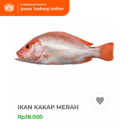 Jual ikan kakap merah 500gr | Shopee Indonesia