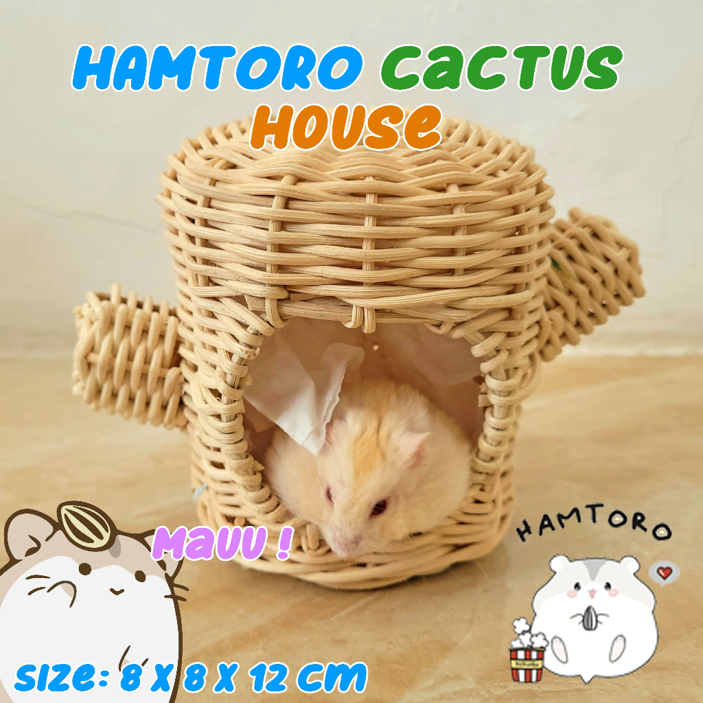 Jual Hamtoro Cactus Rattan House Rumah Main Hamster Rotan Kaktus ...