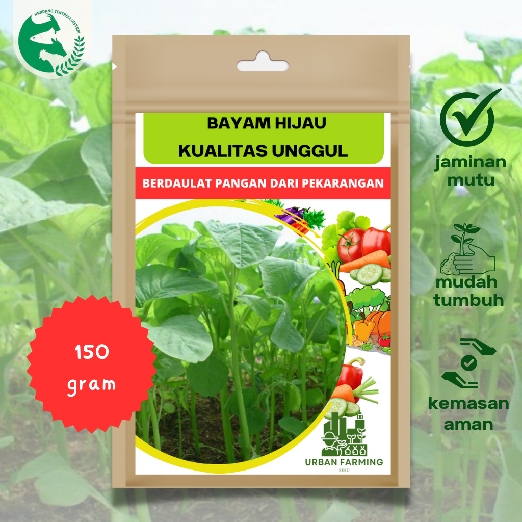 Jual Benih Bayam Hijau 150 gram Urban Farming Unggul Jutaan Biji ...
