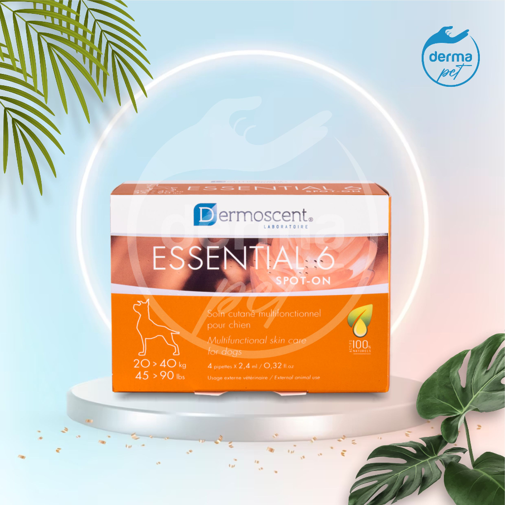 Jual IK3 Dermoscent Essential 6 Spot-On for Dog 20-40kg 1 Tube 2,4ml ...