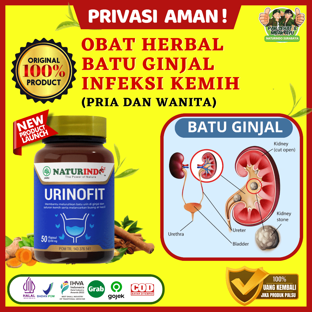Jual OBAT BATU GINJAL PEMBERSIH SALURAN KEMIH PALING AMPUH HERBAL BPOM ...