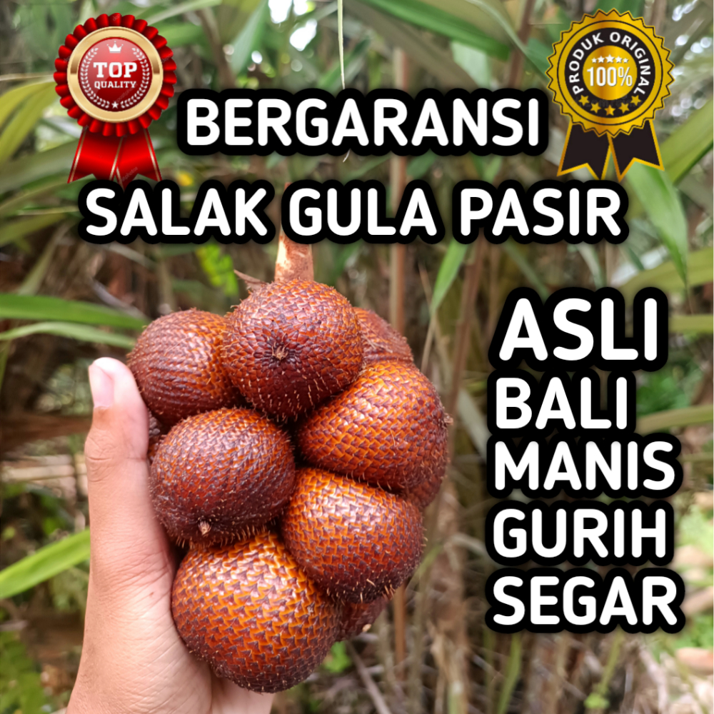 Jual Buah Salak Gula Pasir Asli Bali Karangasem Selat (1 kg) | Shopee ...
