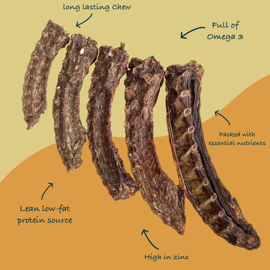 Jual Dehydrated Kangaroo Neck / Leher Kangaroo | Shopee Indonesia