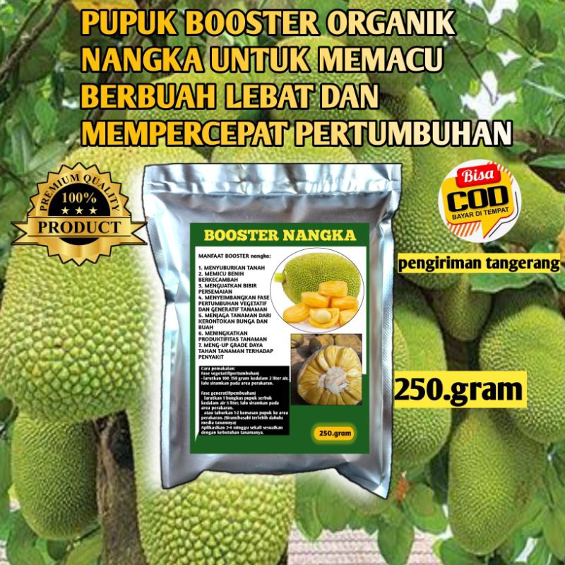 Jual Pupuk Booster Nangka Organik Perangsang buah dan Bunga untuk melebatkan dan menyuburkan isi ...