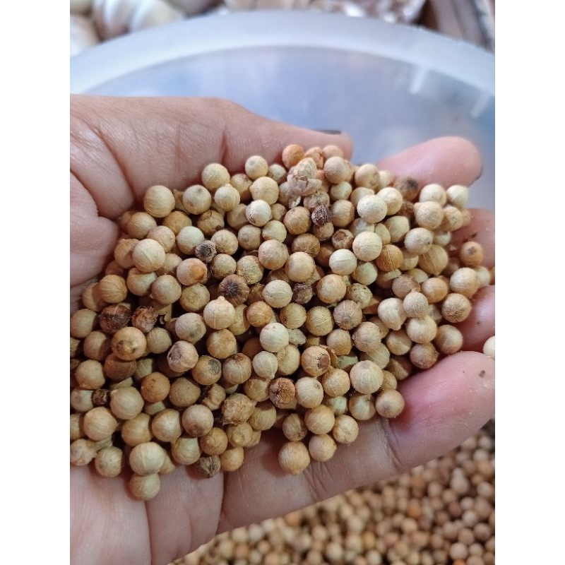 Jual lada biji asli pedas/ merica biji asli 100g | Shopee Indonesia