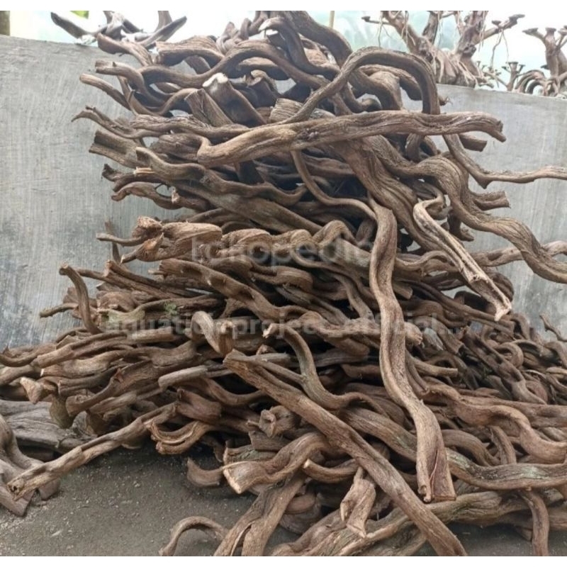 Jual Kayu trinil panjang 50 cm | Shopee Indonesia