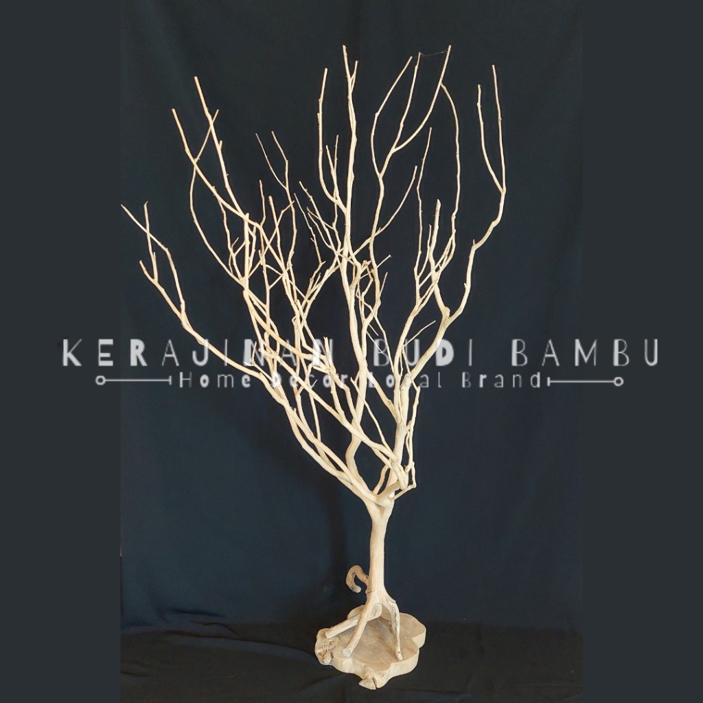 Jual POHON TEH RANTING DEKORASI RUMAH / CAFE / STUDIO FOTO / KANTOR ...