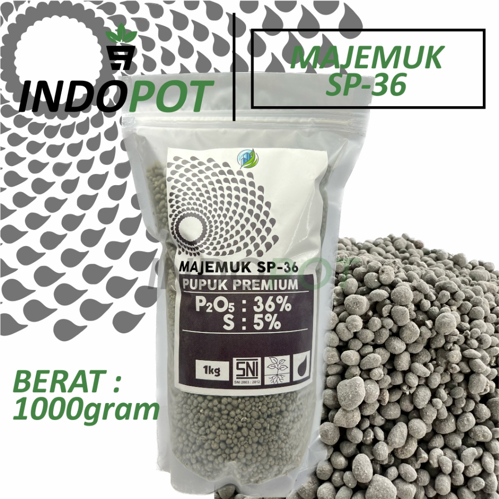 Jual Pupuk Majemuk SP 36 Pupuk Pemicu Pertumbuhan Akar Pupuk Tanaman Bunga Hias Kemasan 1000gr ...