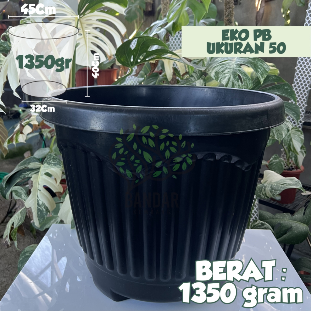 Jual Eko PB Ukuran 50 Warna Hitam Pot Tebal Minimalis Pot Sudut Pot ...