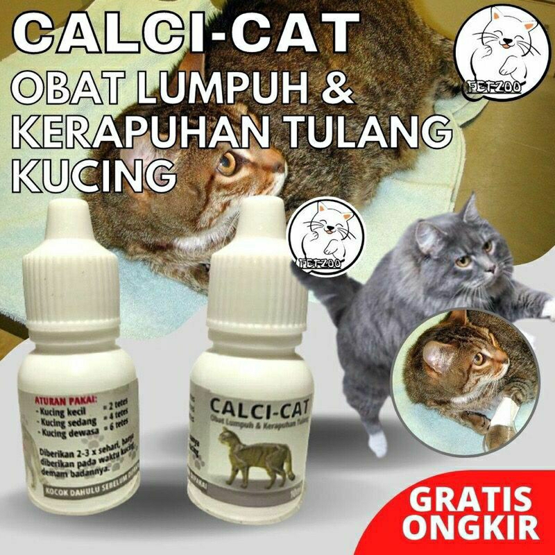 Jual Obat Lumpuh Kucing Kejang Tetanus Gizi Buruk Calcicat | Shopee ...