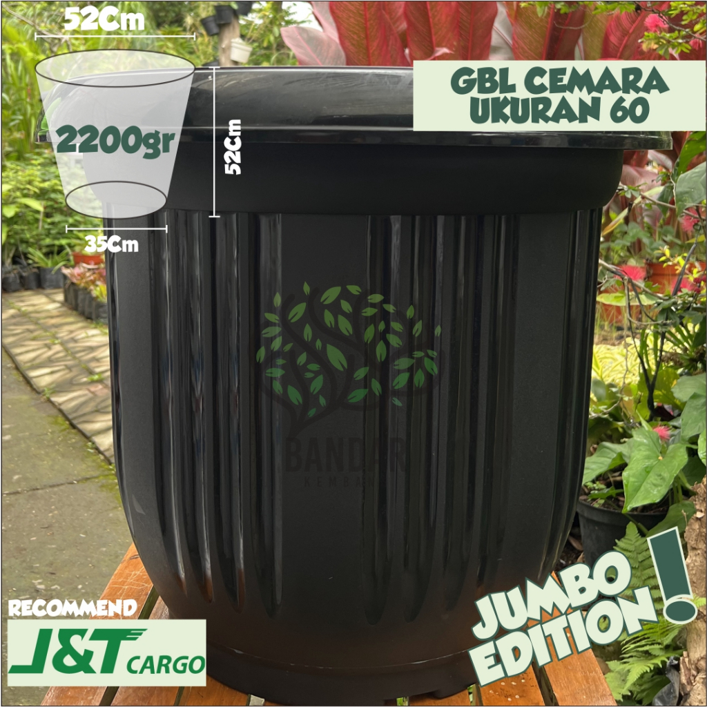 Jual GBL Cemara 60 Warna Hitam Pot Kopeng Premium Pot Tanaman Hias ...
