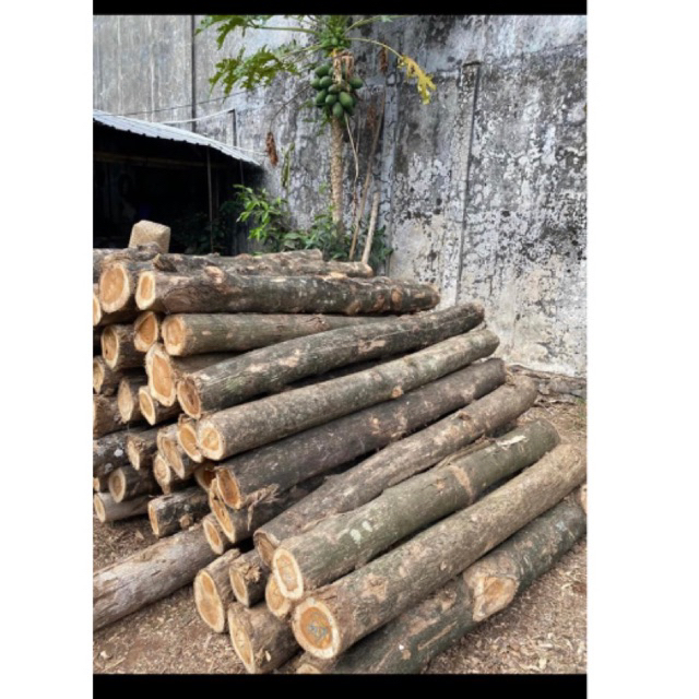 Jual kayu log jati ranting jati bahan dekorasi dll | Shopee Indonesia