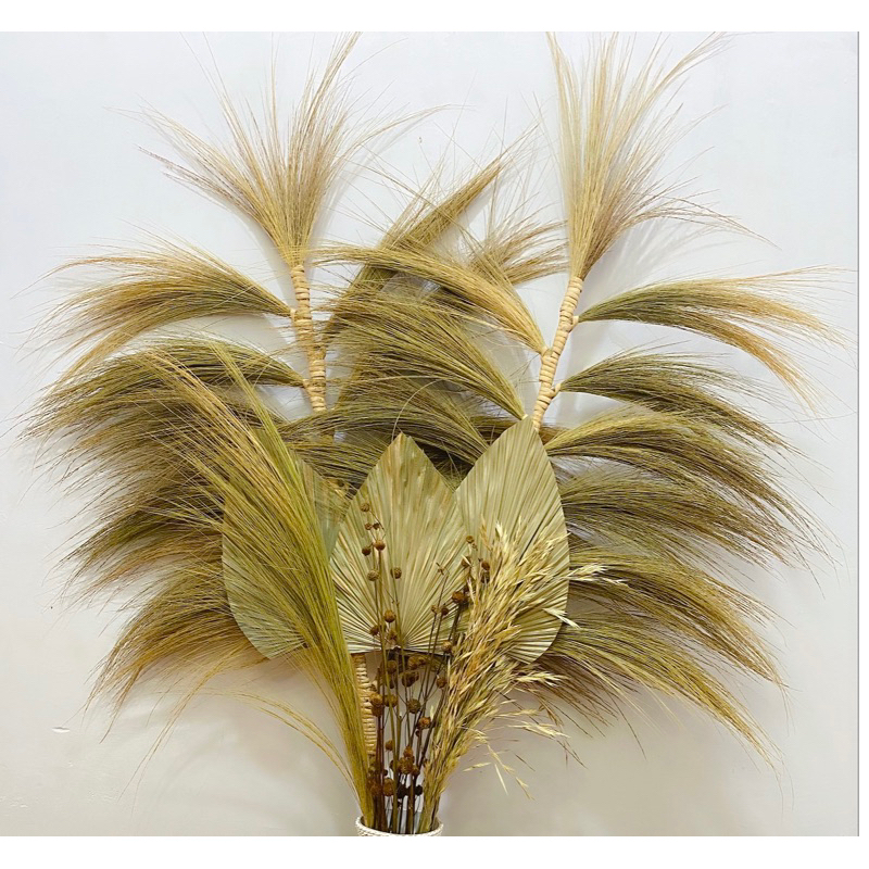 Jual paket bunga kering aesthetic jumbo dengan 2 rayung stik 150 cm ...