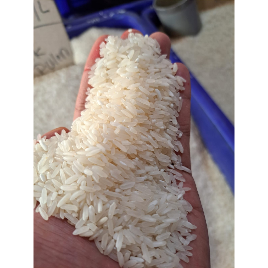 Jual Beras Saigon Sedang Beras Padang 1 kg | Shopee Indonesia