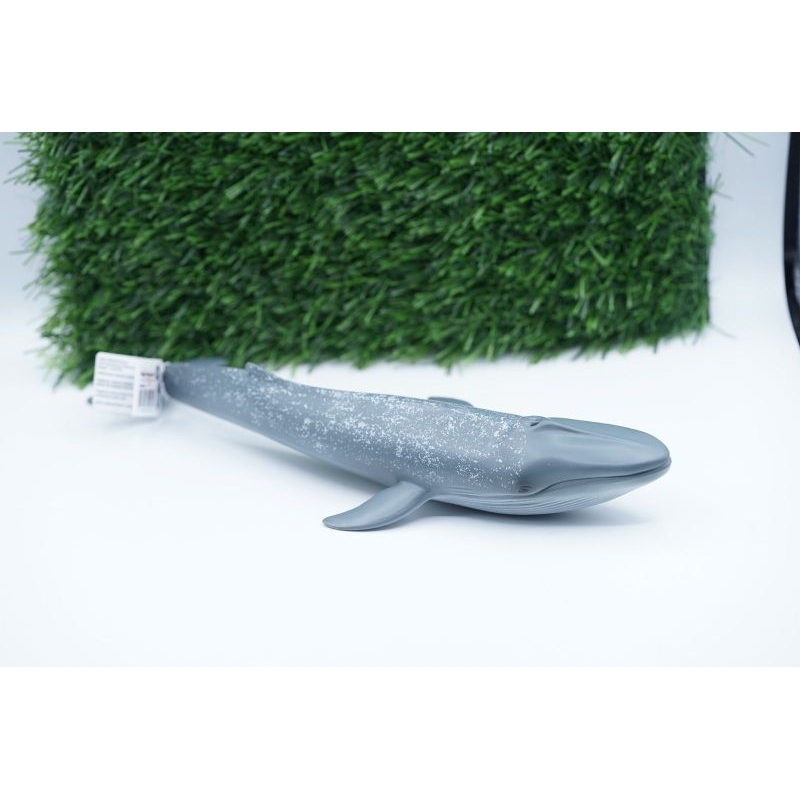 Jual Collecta 88834 Blue Whale Paus Biru Balaenoptera musculus Mainan ...