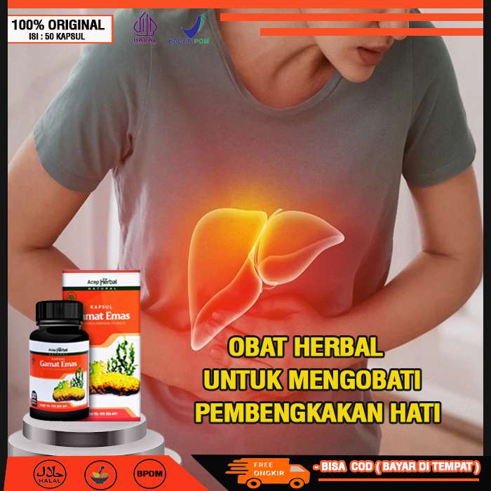 Jual Gamat Emas Kapsul Obat Pembengkakan Hati, Mengecilkan Limpa Yang ...