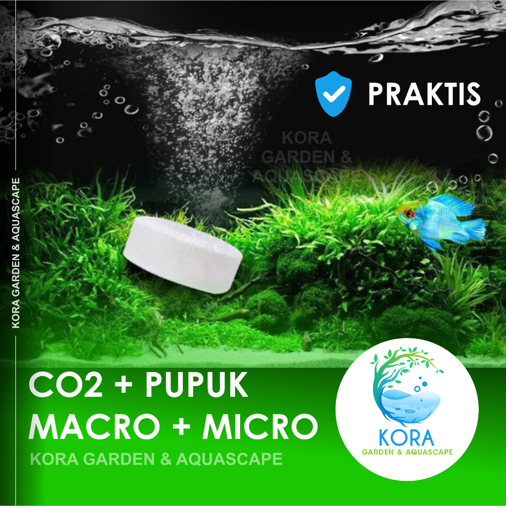 Jual Pill CO2 / Tablet CO2 Aquascape Aquarium | Shopee Indonesia