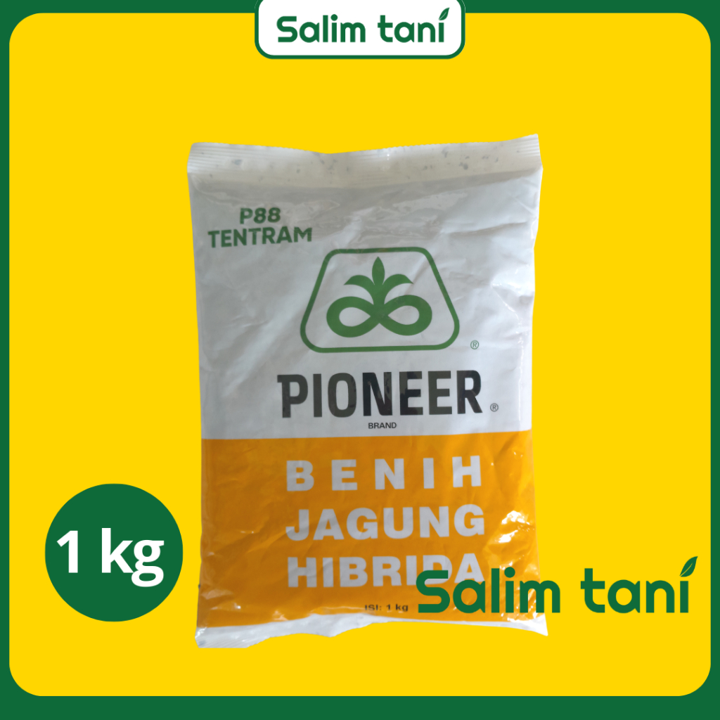 Jual Benih Jagung Hibrida Pioneer P88 Tentram kemasan 1kg | Shopee ...
