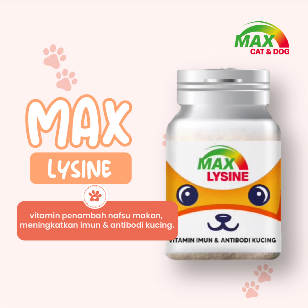 Jual Max Lysine Vitamin Kesehatan Kucing Max Lysine Untuk Imunitas dan ...