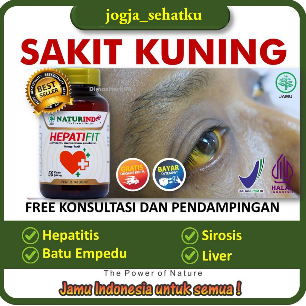 Jual Obat Hepatitis B Liver Sakit Kuning Hepatifit Naturindo | Shopee Indonesia