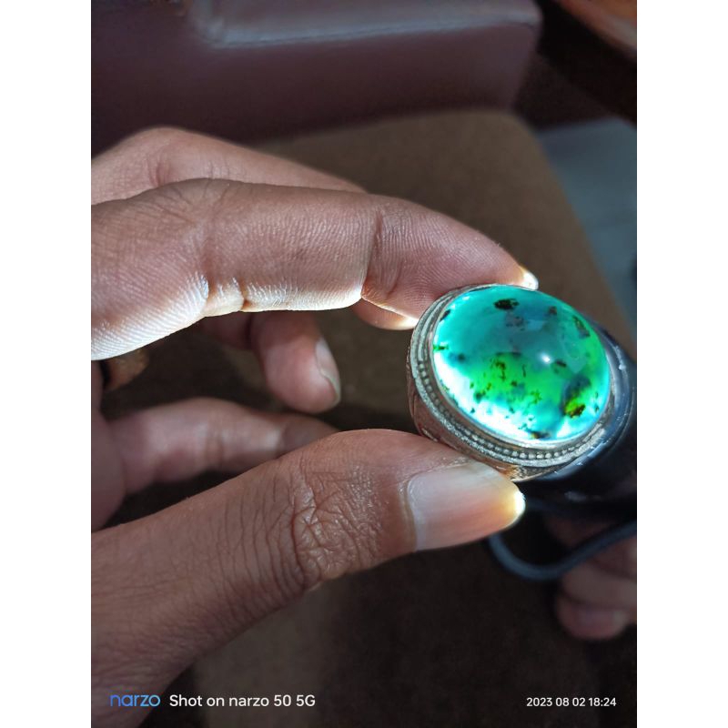 Jual Bacan doko jumbo | Shopee Indonesia