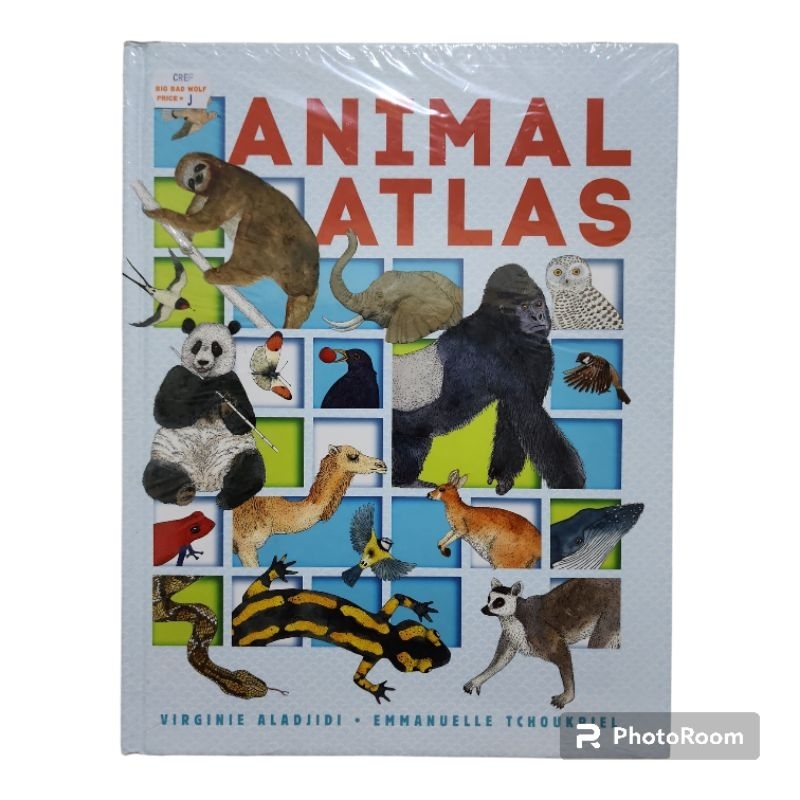 Jual Buku Anak Children Boom Animal Atlas Atlas Hewan Binatang ...