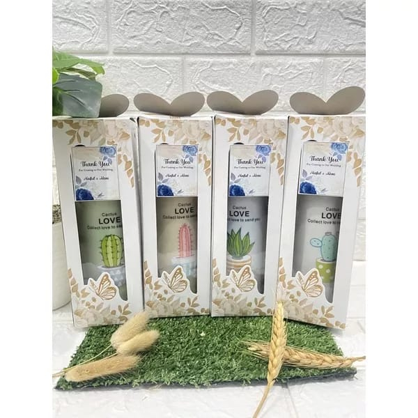 Jual Box Botol Kaktus Souvenir Dus Botol Minum Tempat Souvenir Kemasan ...