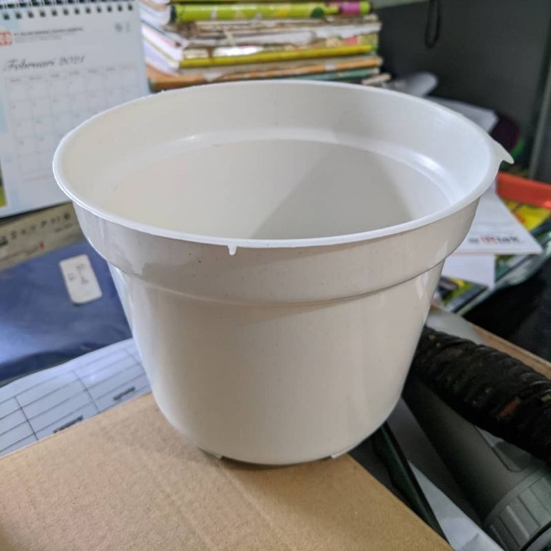 Jual 12pcs / pot bunga ukuran 25 putih polos murah | Shopee Indonesia