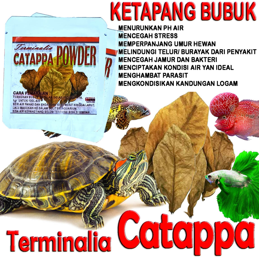 Jual EKSTRAK DAUN KETAPANG BUBUK OBAT IKAN HIAS CUPANG GUPPY BETTA FISH ...