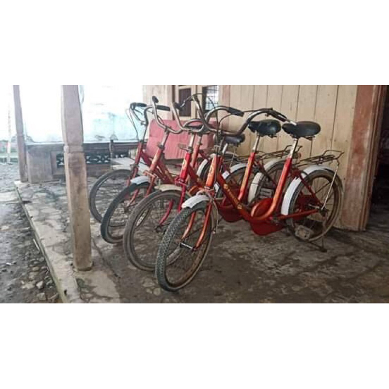 Jual Sepeda mini phoenix sepeda minion ukuran 20 26 full original ...