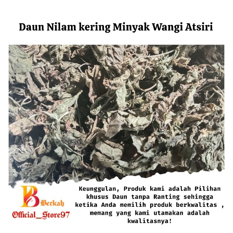 Jual DAUN NILAM KERING SUPER MINYAK ATSIRI WANGI | Shopee Indonesia