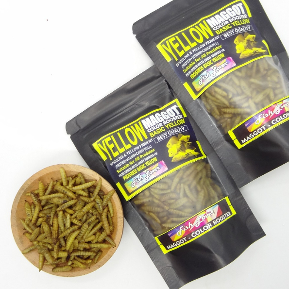 Jual Yellow Maggot Fishlover | Shopee Indonesia