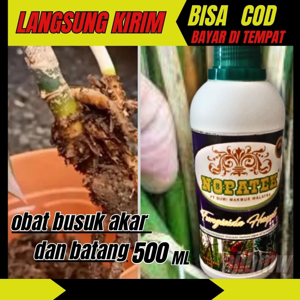 Jual obat busuk akar dan batang tanaman fungisida nopatek hayati ampuh ...