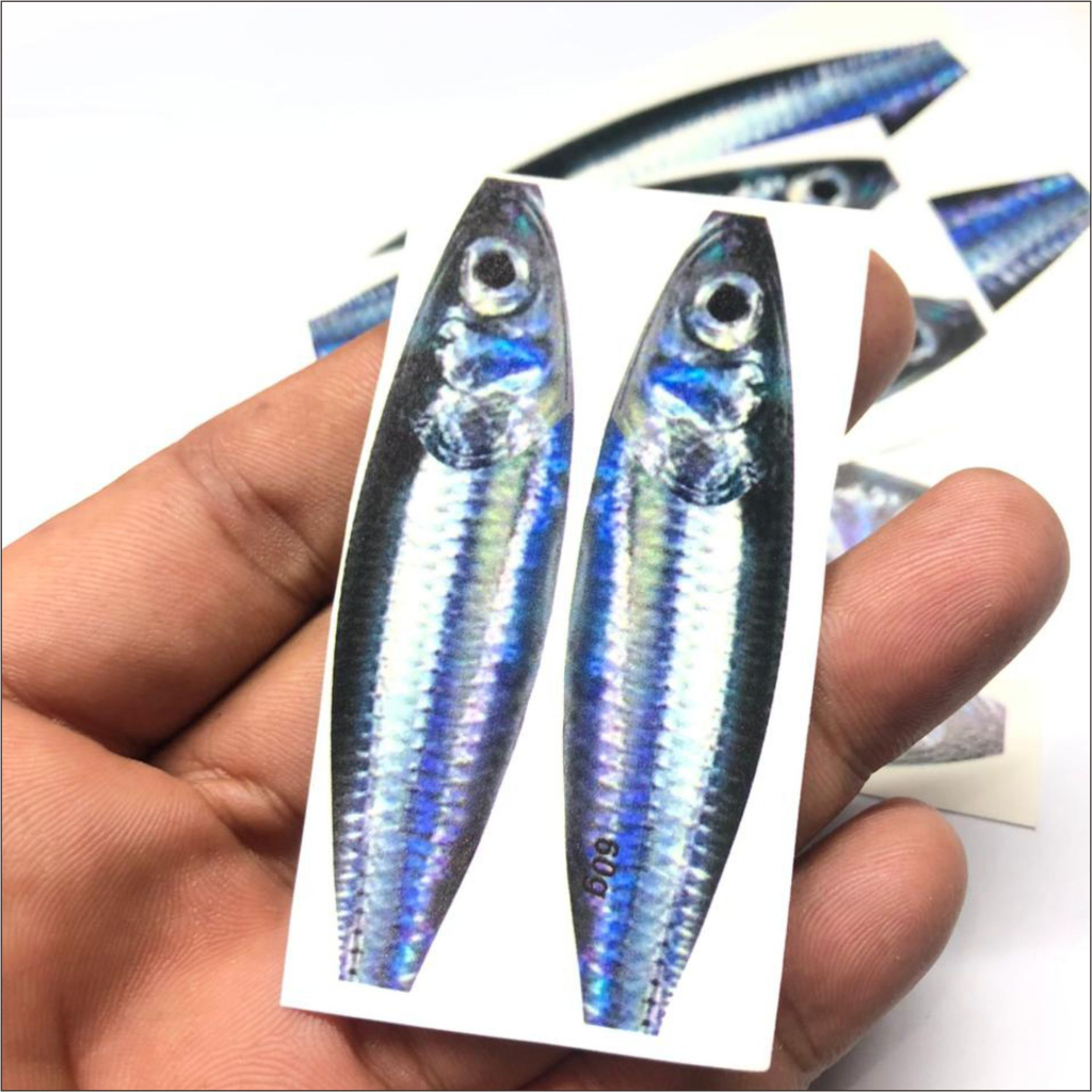 Jual WATER SLIDE decal metal jig koika 60g 80g 100g 200g ikan teri | Shopee Indonesia