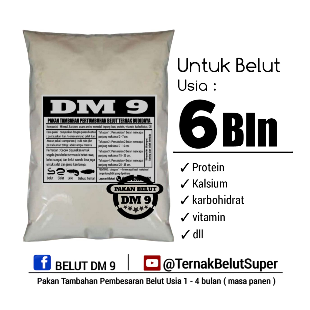 Jual pakan belut ternak budidaya usia 6 bulan oversize DM 9 full ...