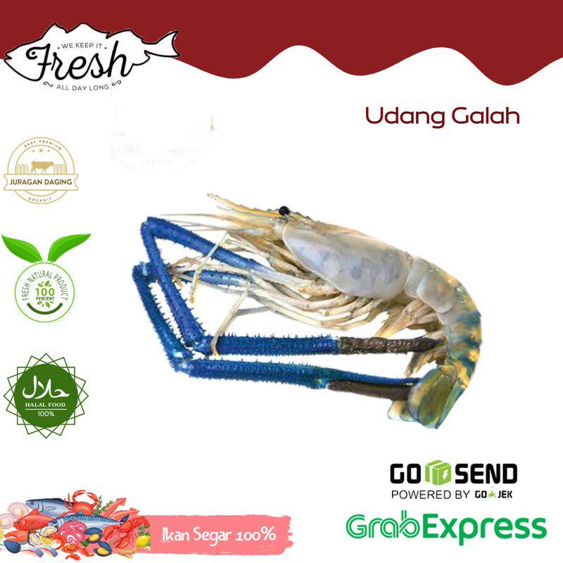 Jual UDANG GALAH FRESH 1kg | Shopee Indonesia